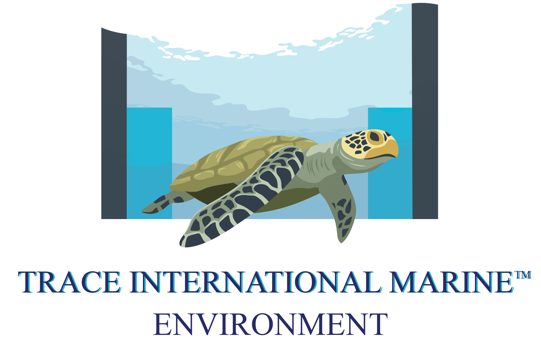 Trace International Marine Environment